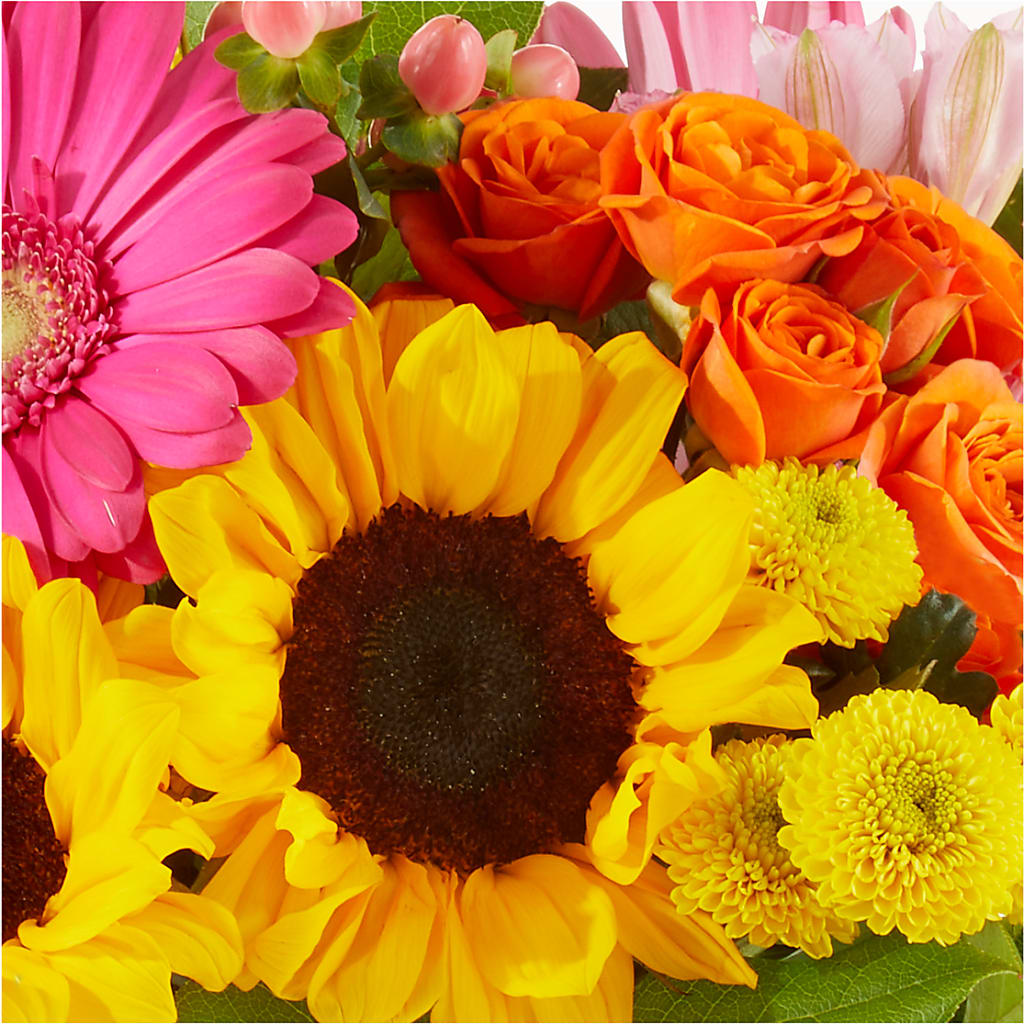 Rockford Florist | Same Day Flower Delivery by Hb Floral Studio
